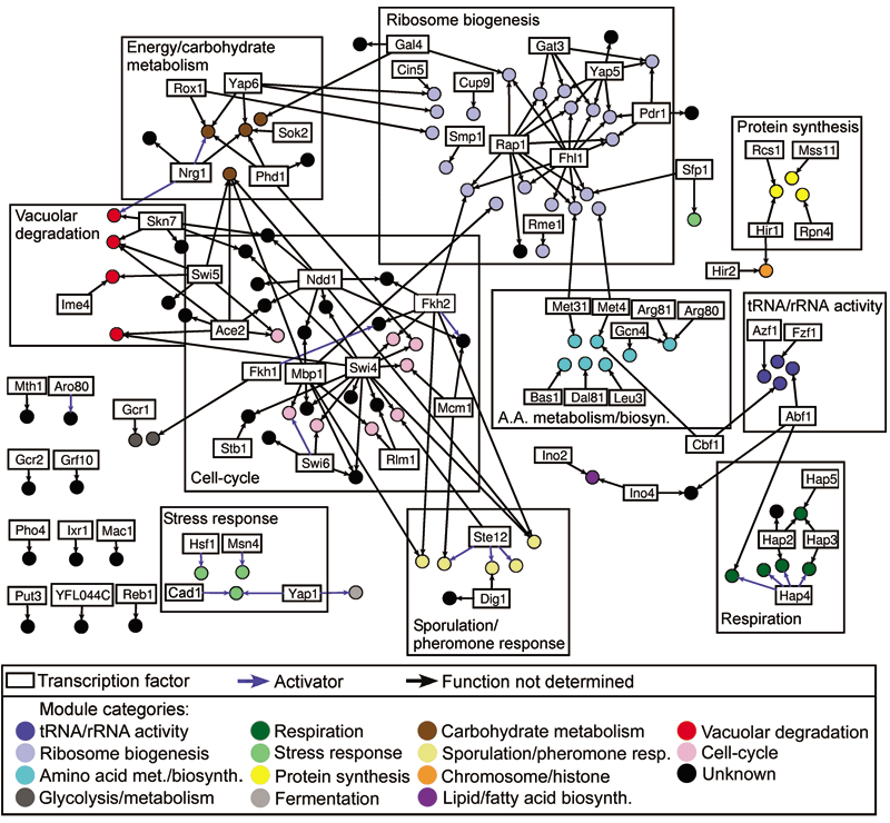 Network biology overview